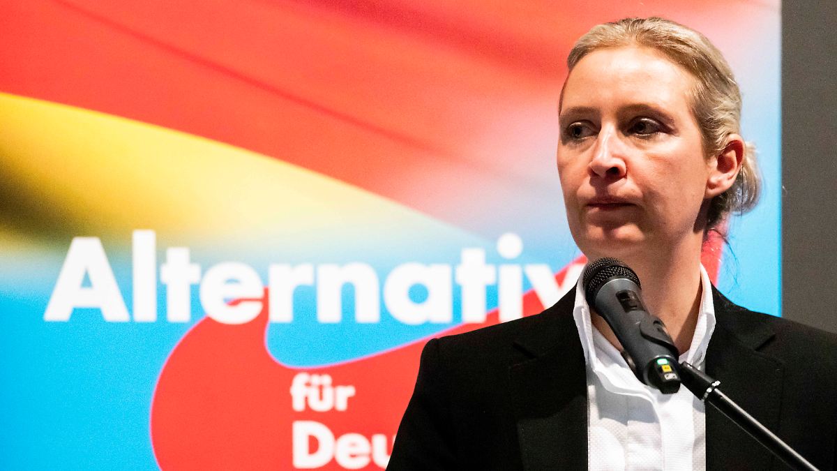 Rechtspopulisten im Clinch: Alice Weidel rechtfertigt "Remigrations ...