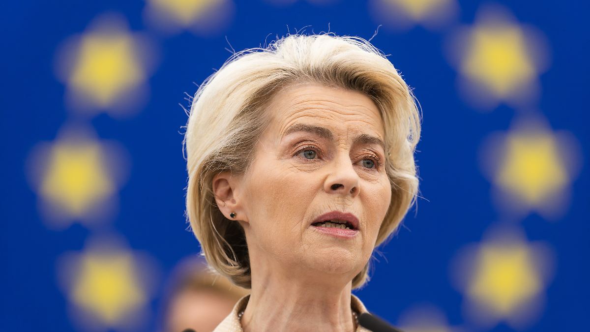 Spitzenplatz in EU-Kommission: Von der Leyen nutzte 23 Mal den Privatjet - n-tv.de