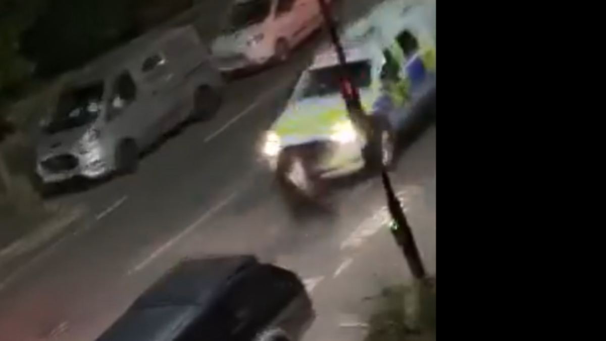 "Welch' Monster rammt ein Kalb?": Polizisten fahren ausgebüxte Kuh um ...