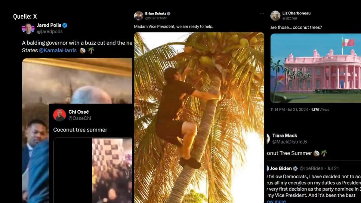 Alter Ausschnitt geht viral: Was die Kokosnuss-Memes um Kamala Harris ...
