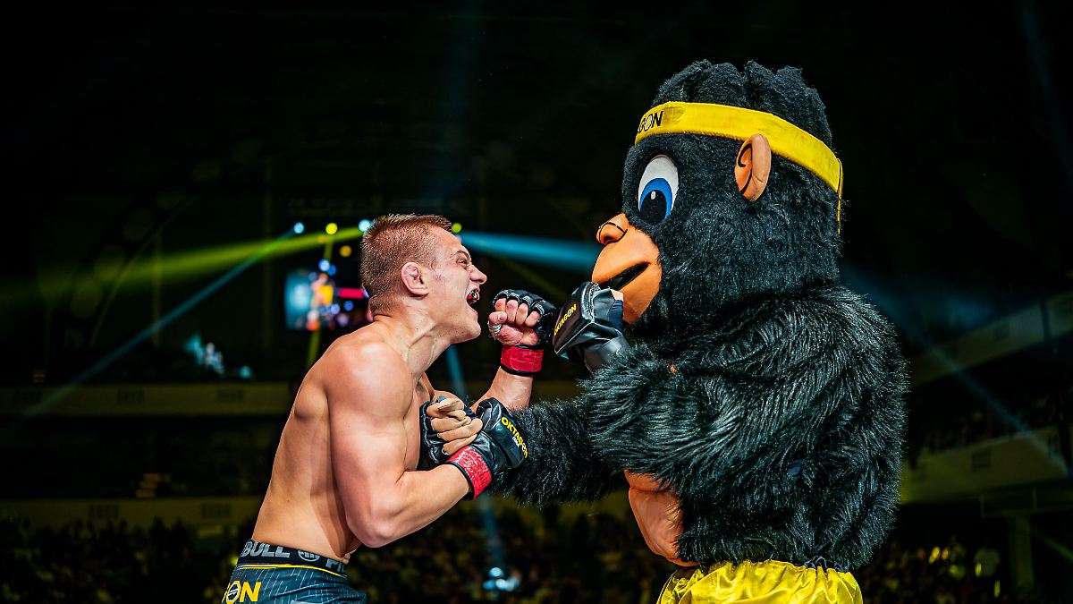 MMA-Erfolgsrezept Max Holzer: Eine Prise Batman und ein Schuss Toy ...