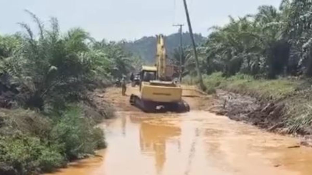 Fahrzeug schwer beschädigt: Straßenbau-Panne: Schlammloch schluckt ...