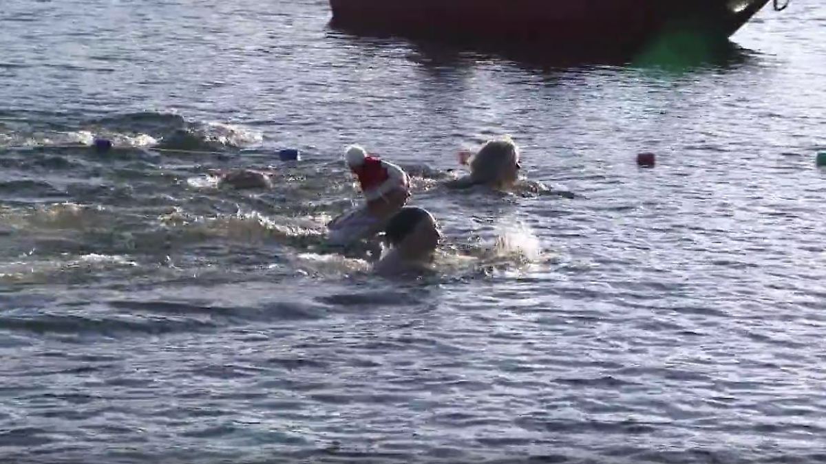 Saisonauftakt zur Wintertradition: Eisschwimmer lassen ntv-Reporter (k ...