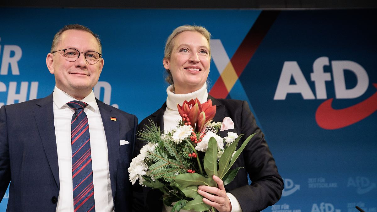 Rede in voller Länge: AfD zieht mit Alice Weidel in den Bundestagswahlkampf - n-tv.de