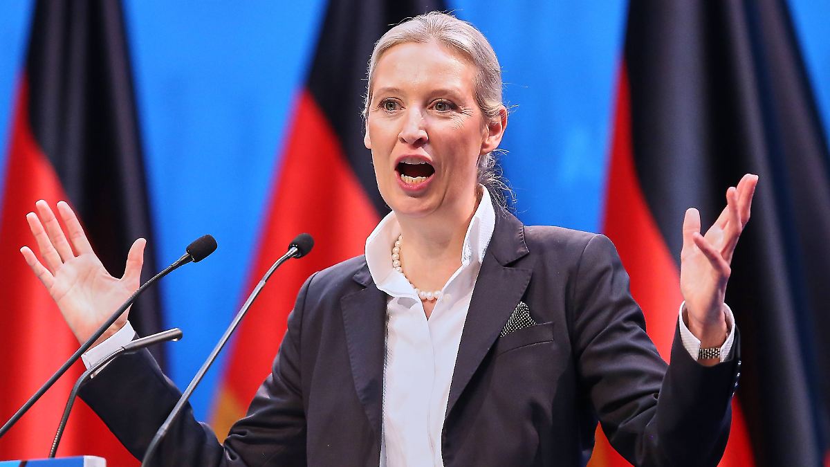 Programm inklusive "Remigration": AfD setzt auf Vater, Mutter, Kinder ...