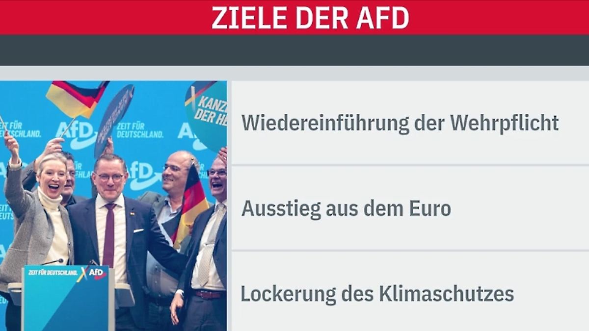 Parteien beschließen Wahlprogramme: AfD will aus dem Euro raus, BSW mit ...