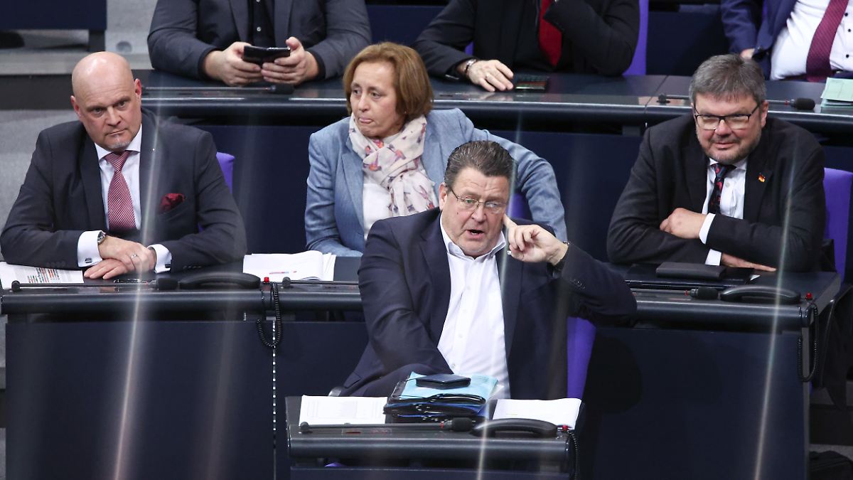 Keine Mehrheit für Prüfantrag: Nach Merz-Eklat streitet Bundestag über AfD-Verbot - n-tv.de