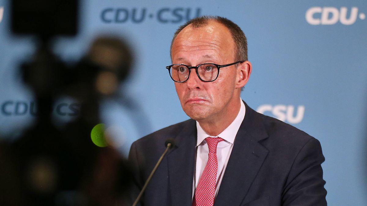Politologe zum Plan von Friedrich Merz: "Der Schockmoment könnte ein ...