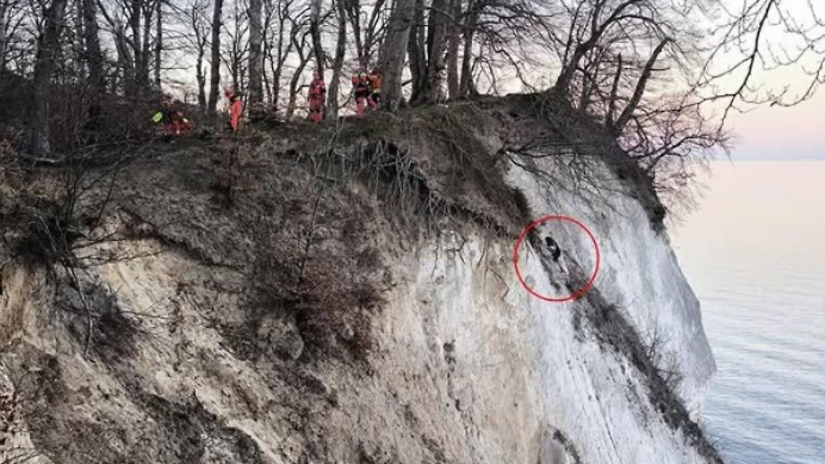 Der Tag: Frau kraxelt verlorenem Handy hinterher - und bleibt an Felsen ...