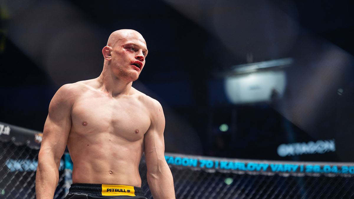 Eskalationsstufe: Max Holzer: Deutschlands größte MMA-Hoffnung zwischen ...