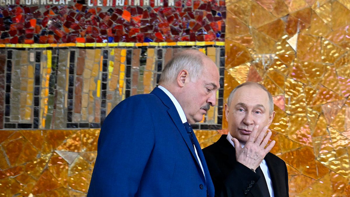 "Scheint Wunschdenken zu sein": Kiew: Luka­schenko hat keine russischen ...