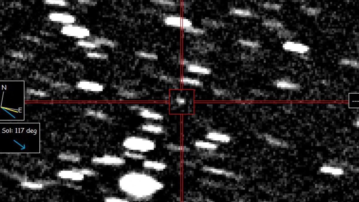 Violette vaine onlyfans contacted via text to schedule but