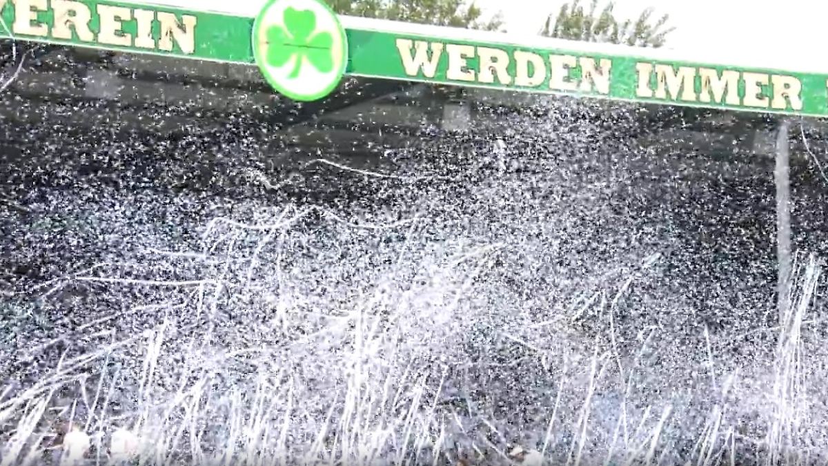 Weltberühmte deutsche Fans: Das waren die besten Choreos vom Zweitliga ...