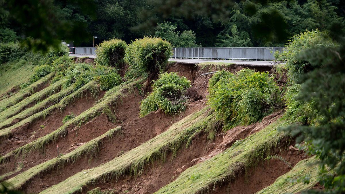 Die Chefs von morgen: CEO of the Future - n-tv.de