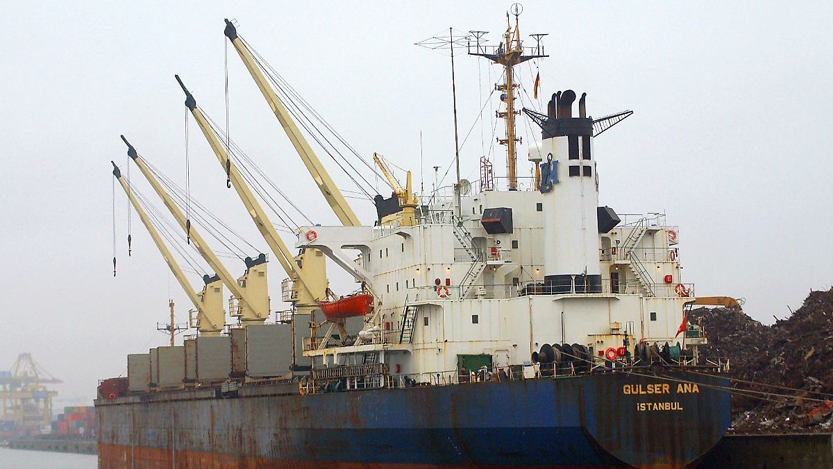 Untergang der "Gulser Ana": Wale sterben vor Madagaskar - n-tv.de