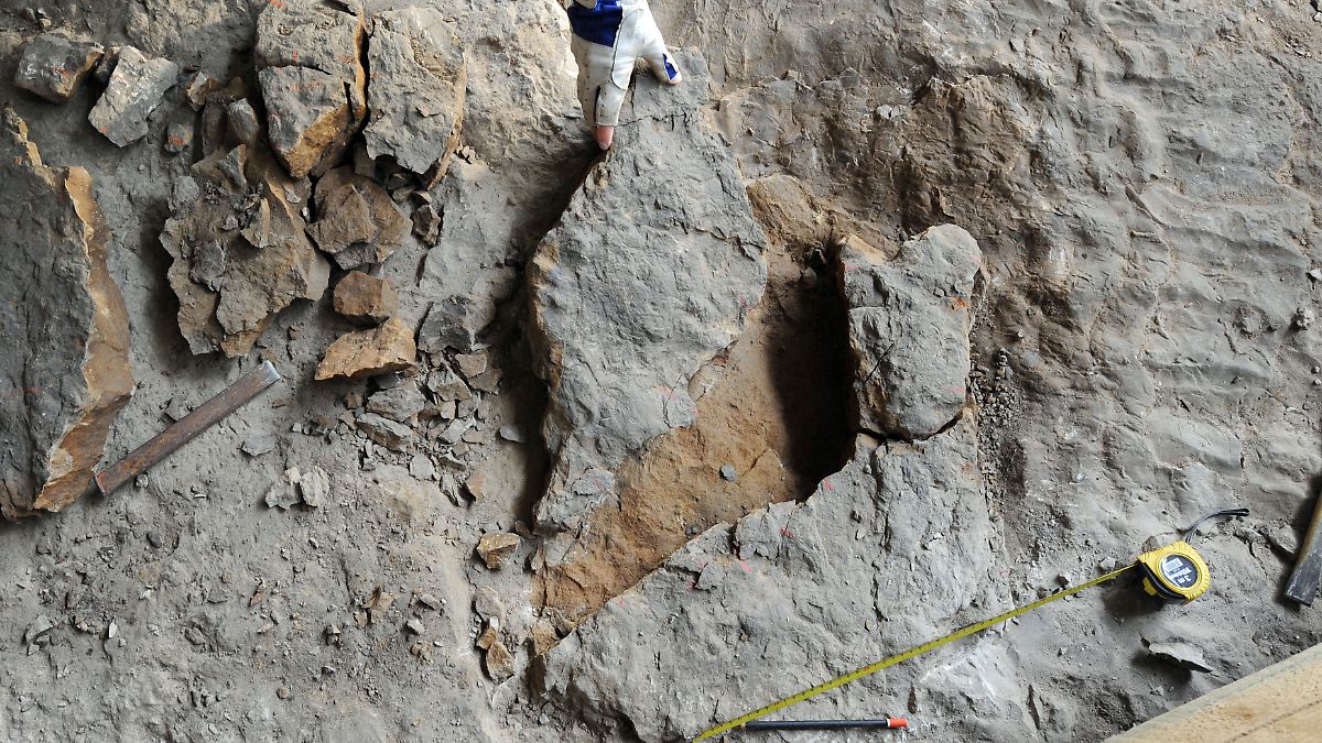 Fundsache, Nr. 1094: Saurierspuren in Münchehagen - n-tv.de